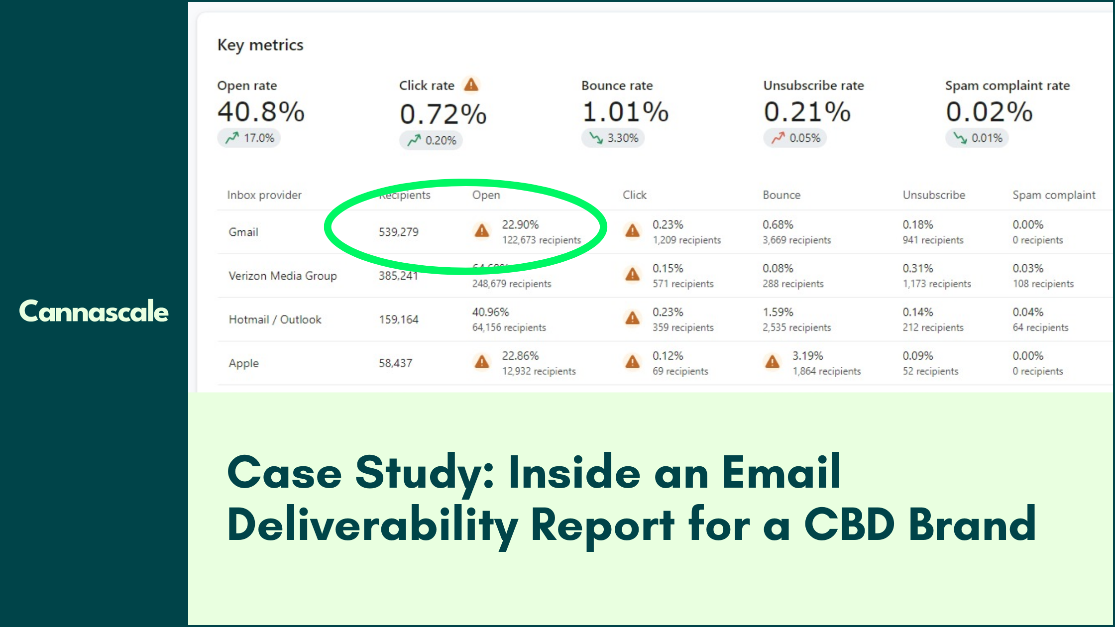 Case Study: Inside an Email Deliverability Report for a CBD Brand